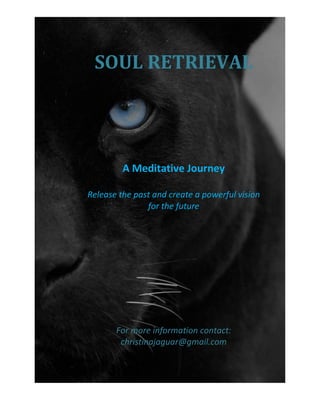 Soul Retrieval Program | PDF