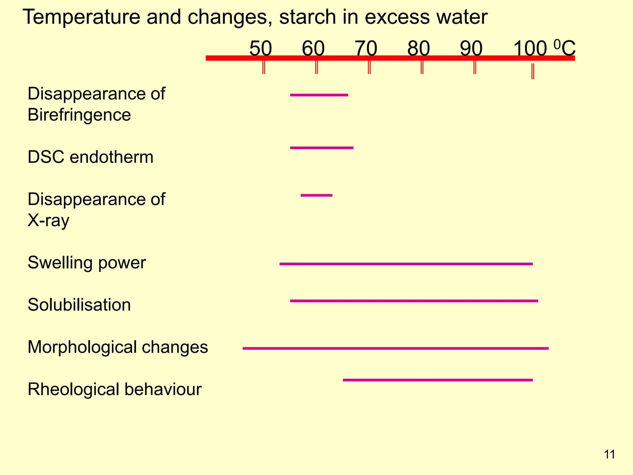 Starch conversion, gelatinization, processing | PPT