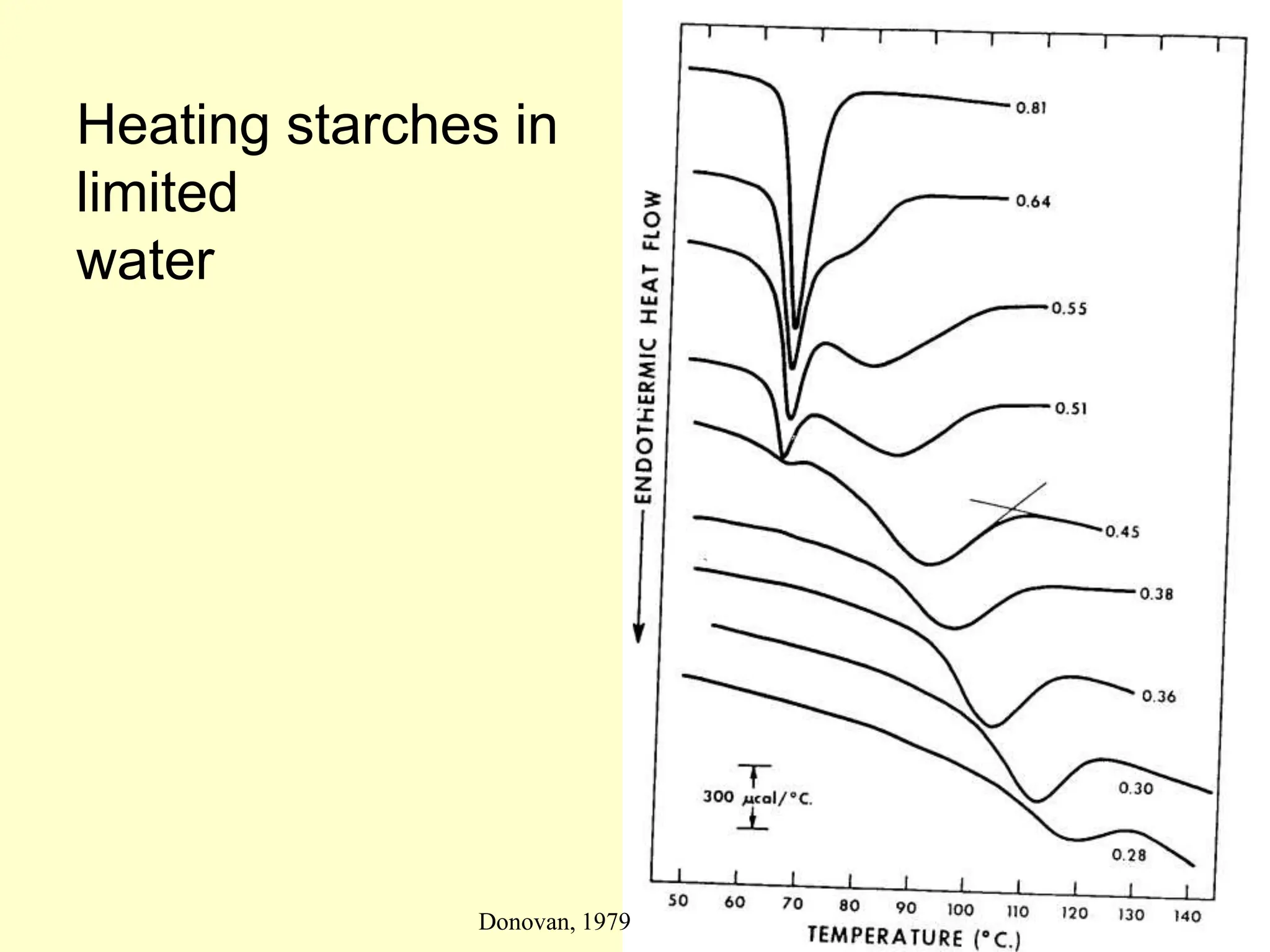 Starch conversion, gelatinization, processing | PPT