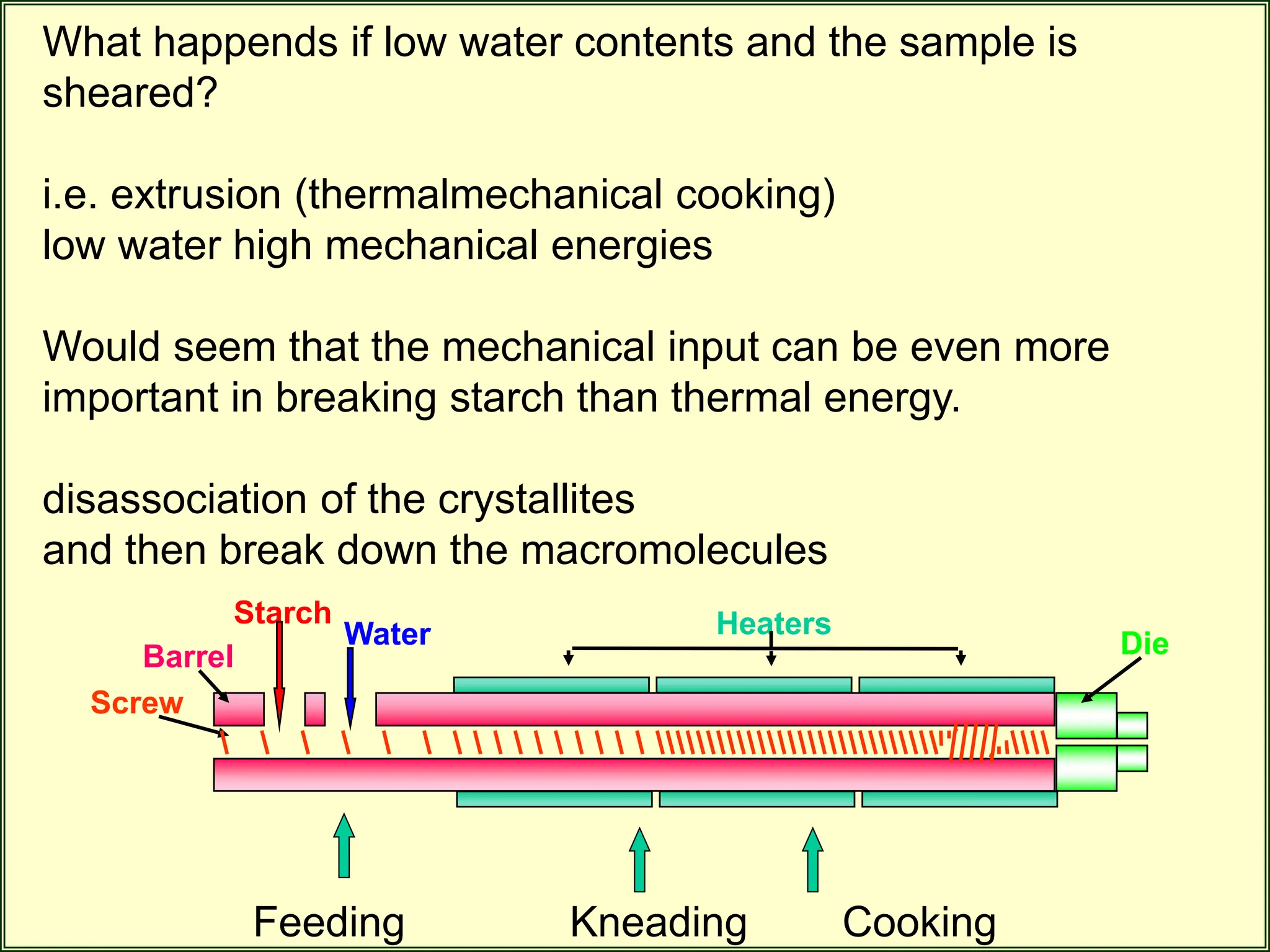 Starch conversion, gelatinization, processing | PPT