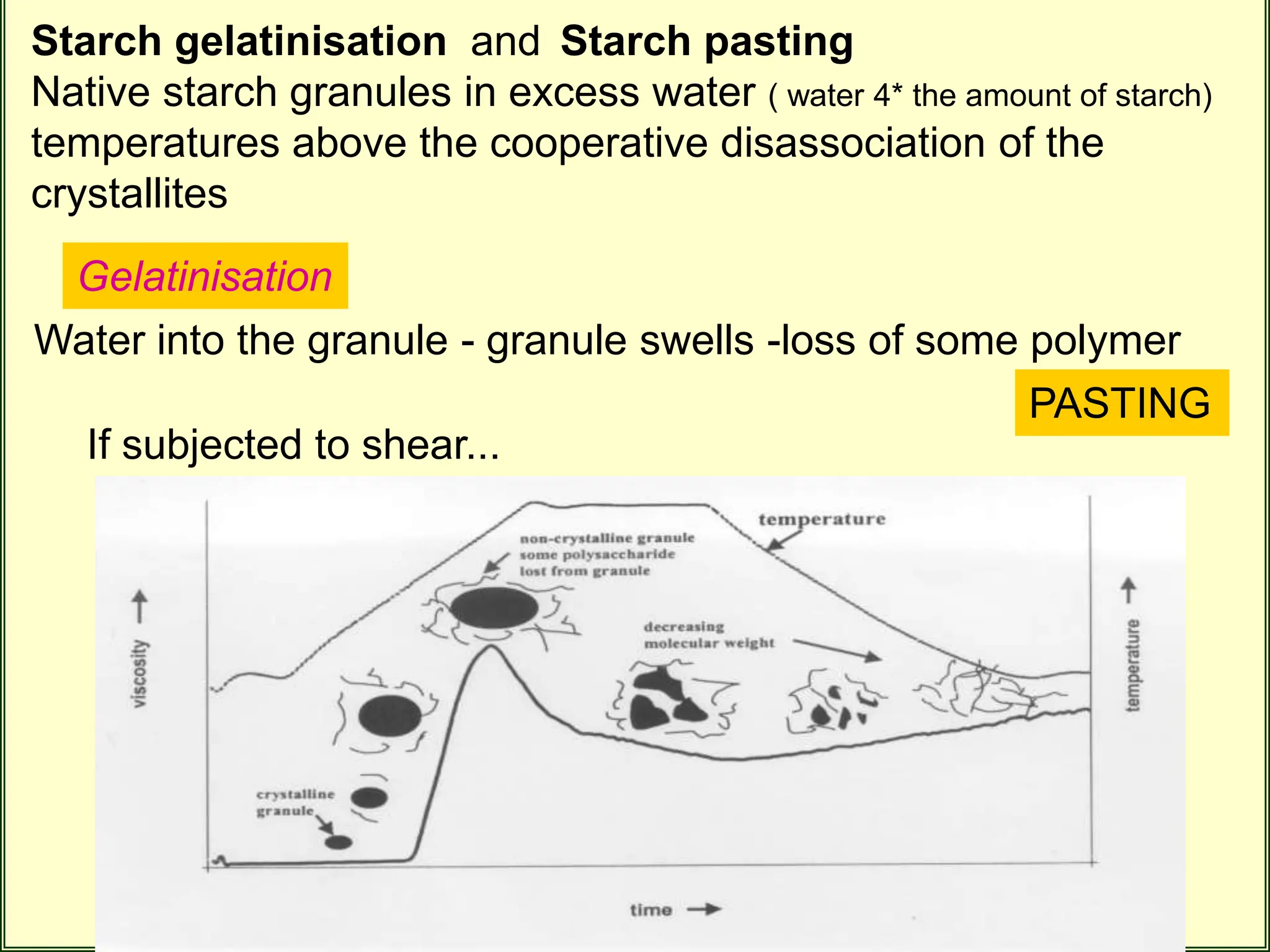 Starch conversion, gelatinization, processing | PPT
