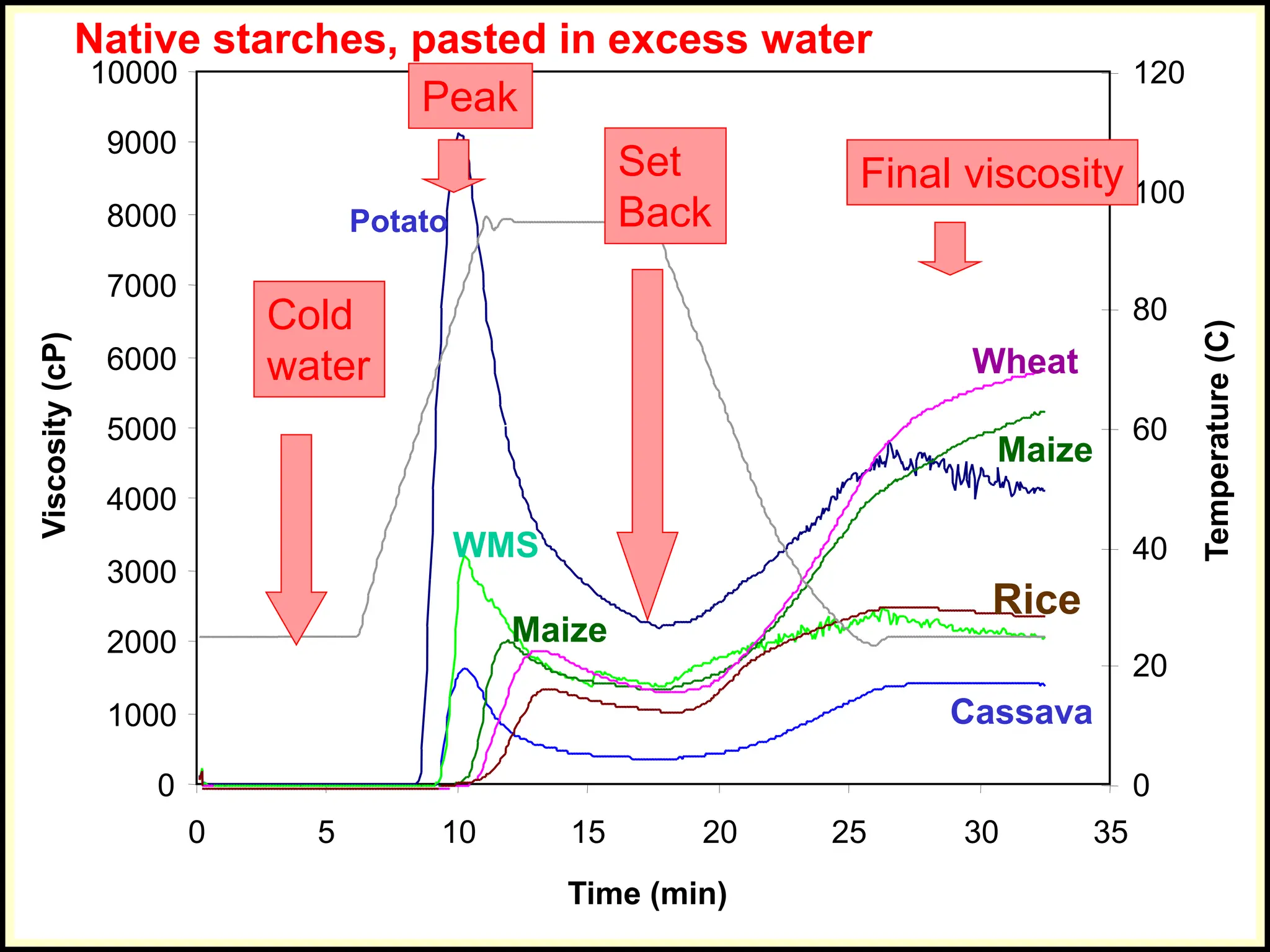 Starch conversion, gelatinization, processing | PPT