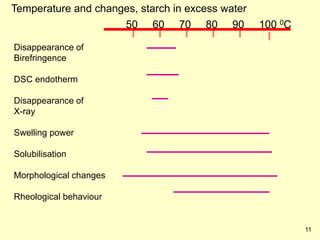 Starch conversion, gelatinization, processing | PPT