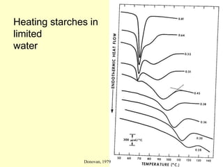 Starch conversion, gelatinization, processing | PPT