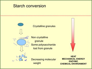 Starch conversion, gelatinization, processing | PPT