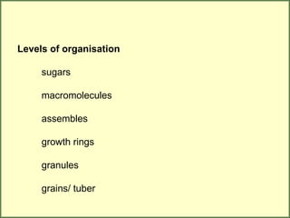 Starch conversion, gelatinization, processing | PPT