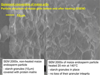 Starch conversion, gelatinization, processing | PPT