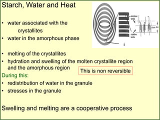 Starch conversion, gelatinization, processing | PPT