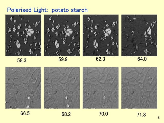 Starch conversion, gelatinization, processing | PPT | Chemistry | Science