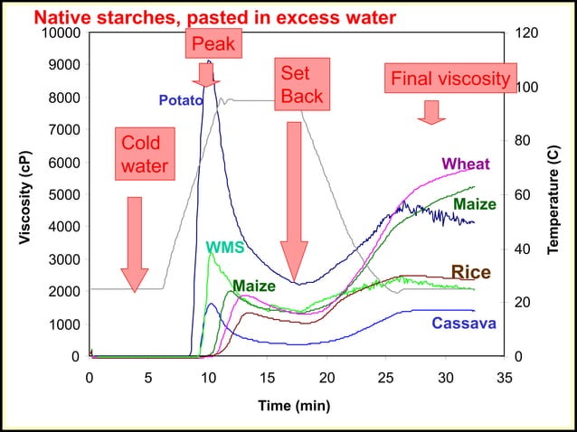Starch conversion, gelatinization, processing | PPT | Chemistry | Science