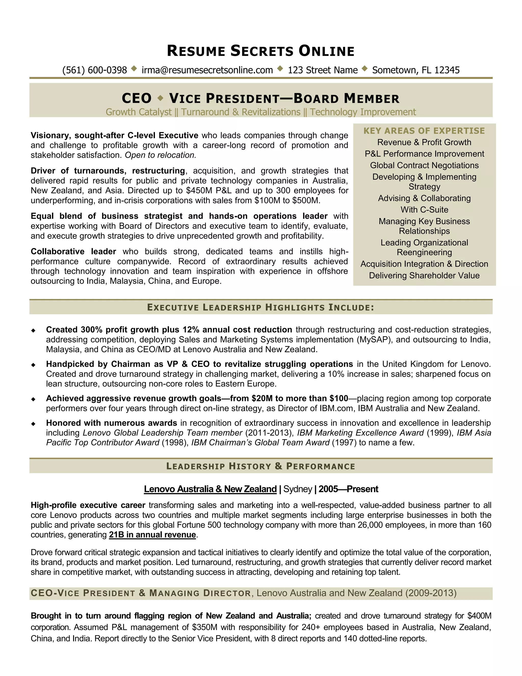 CEO & Vice President Executive | PDF