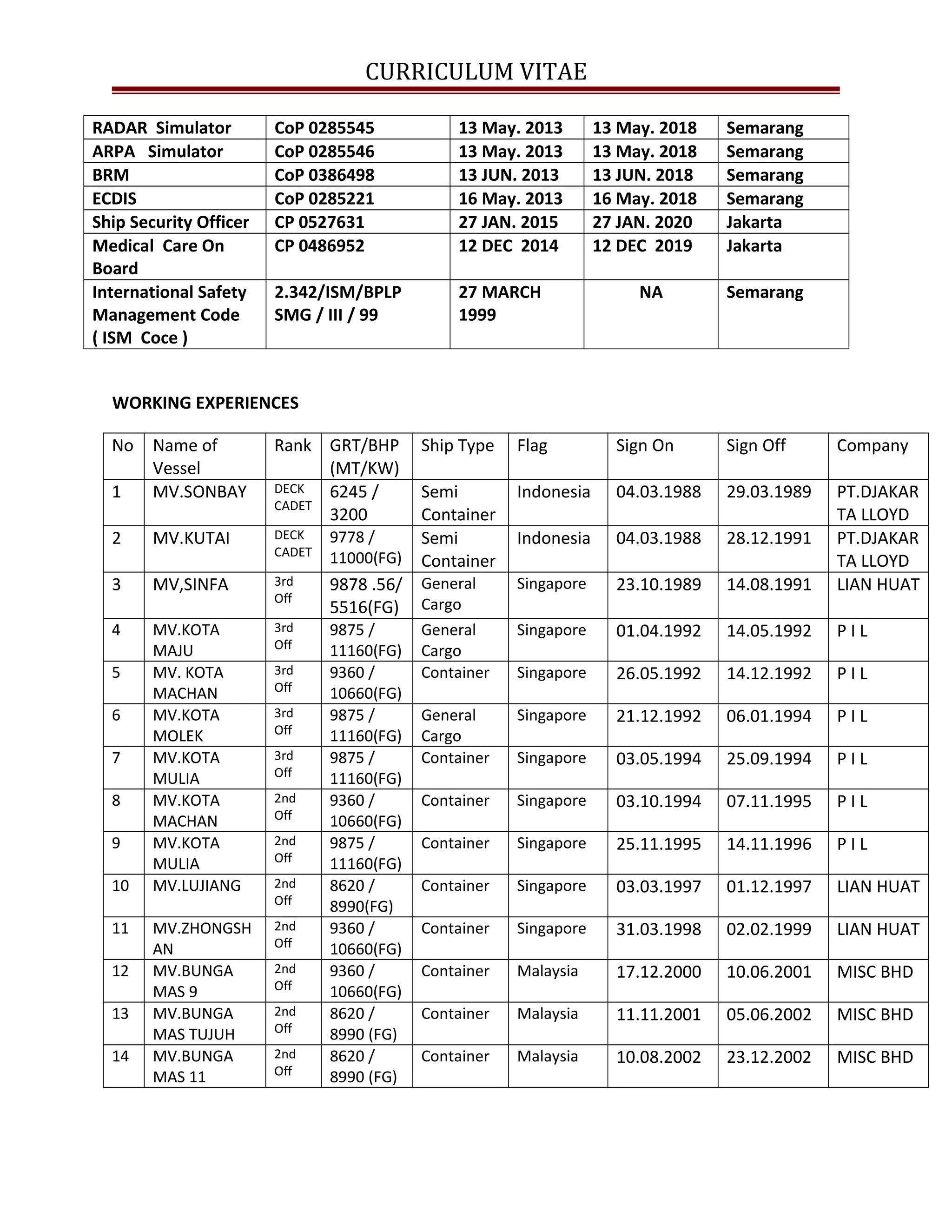 CV HASAN LUTH 2016 | DOC