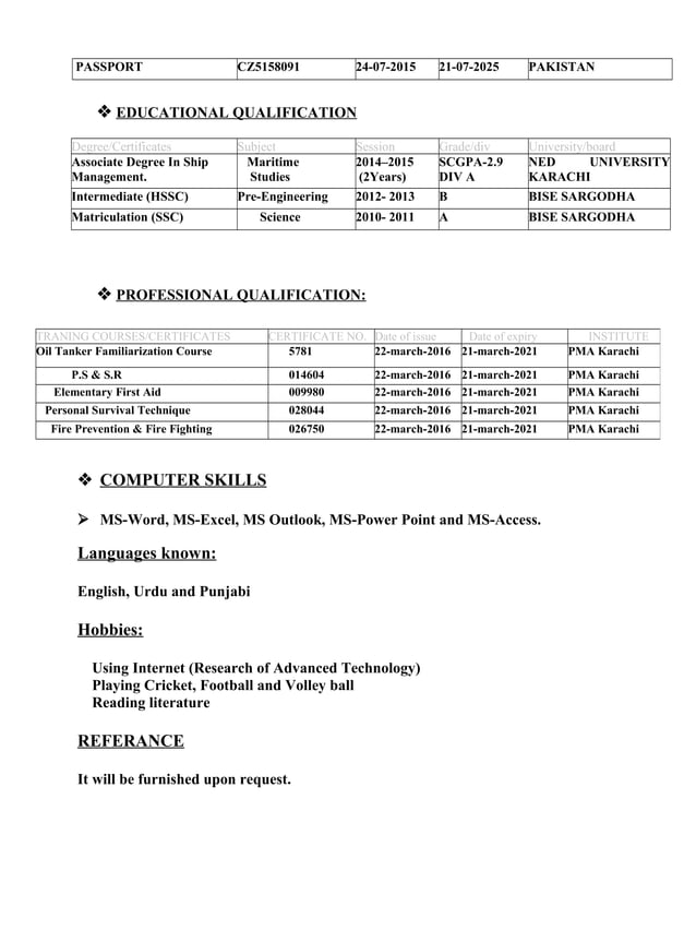 HAMZA FINAL CV | PDF