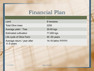 Olive Oil Farming | PPSX