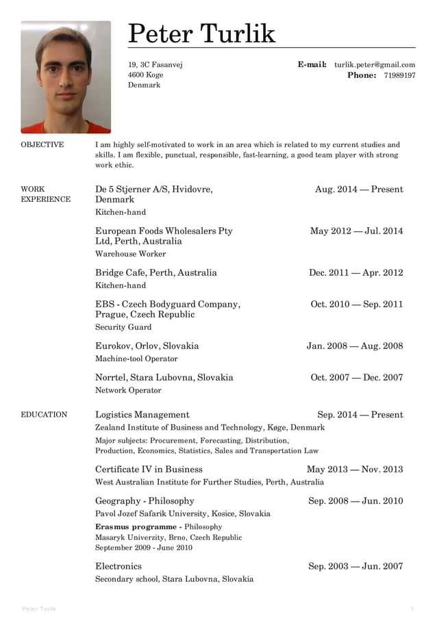 CV_Peter_Turlik | PDF