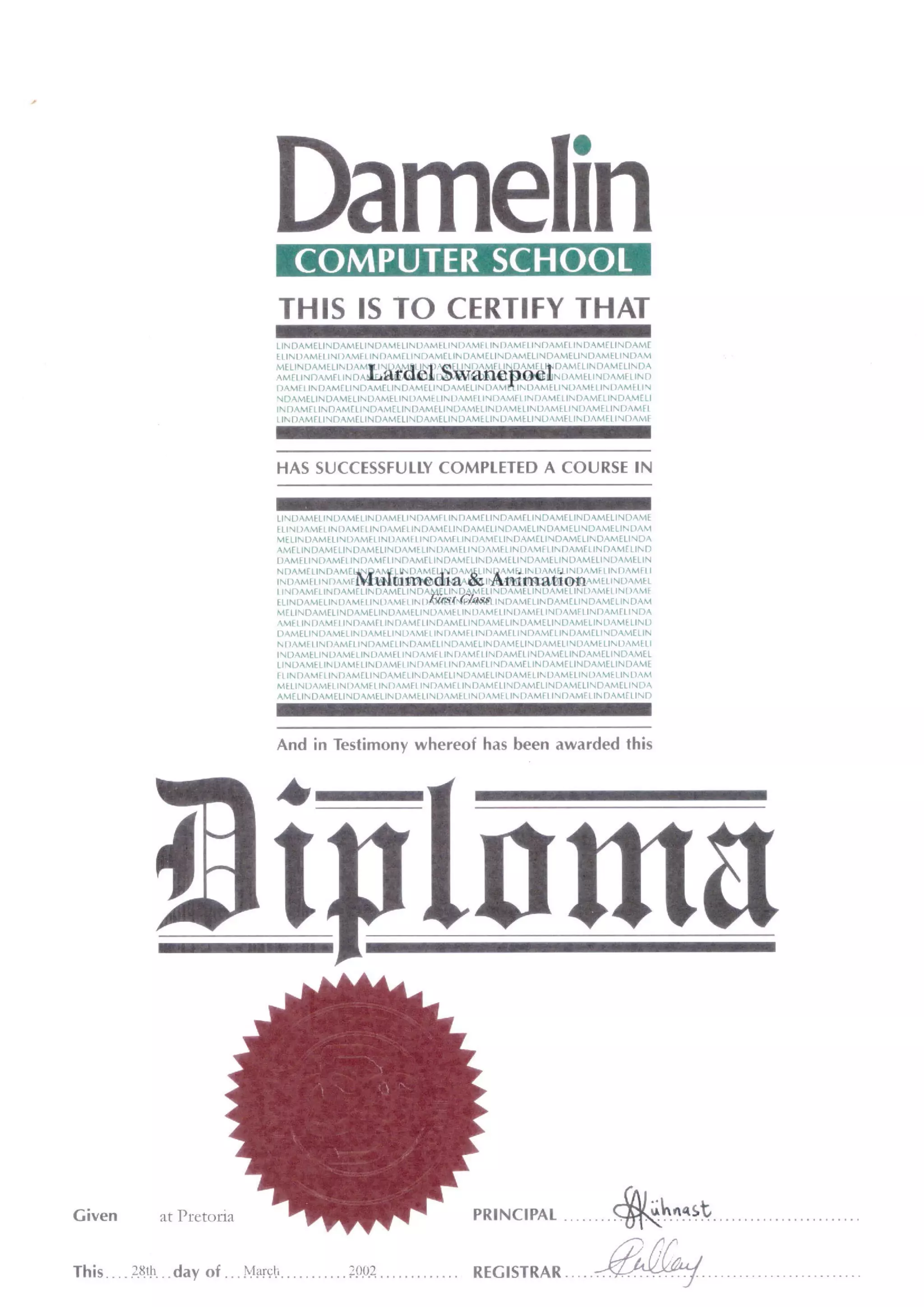 Damelin Multimedia and Animation | PDF