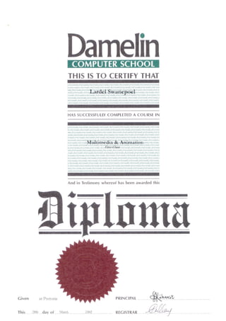 Damelin Multimedia and Animation | PDF