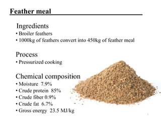 Economic importance of broiler industry | PPTX
