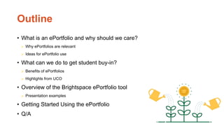 D2L T&L Webinar featuring Amanda Keesee of UCO | PPTX