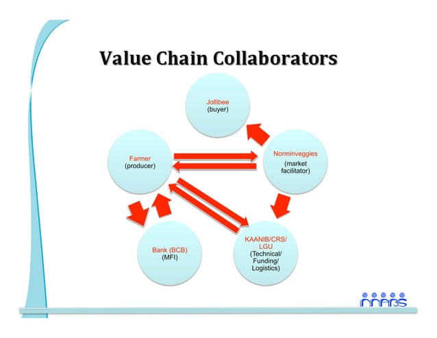NRT 2011: Vegetable Value Chain - NorMinVeggies in Mindanao | PDF