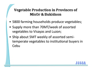 NRT 2011: Vegetable Value Chain - NorMinVeggies in Mindanao | PDF