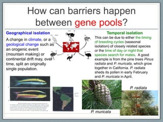 D2 species and speciation | PPTX