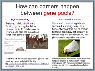 D2 species and speciation | PPTX