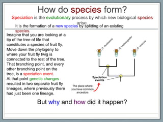 D2 species and speciation | PPTX