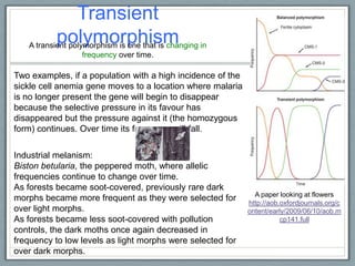 D2 species and speciation | PPT