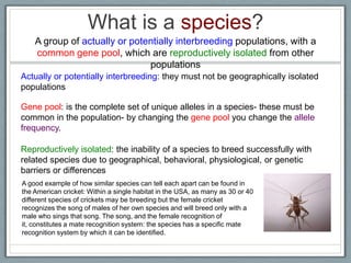 D2 species and speciation | PPTX