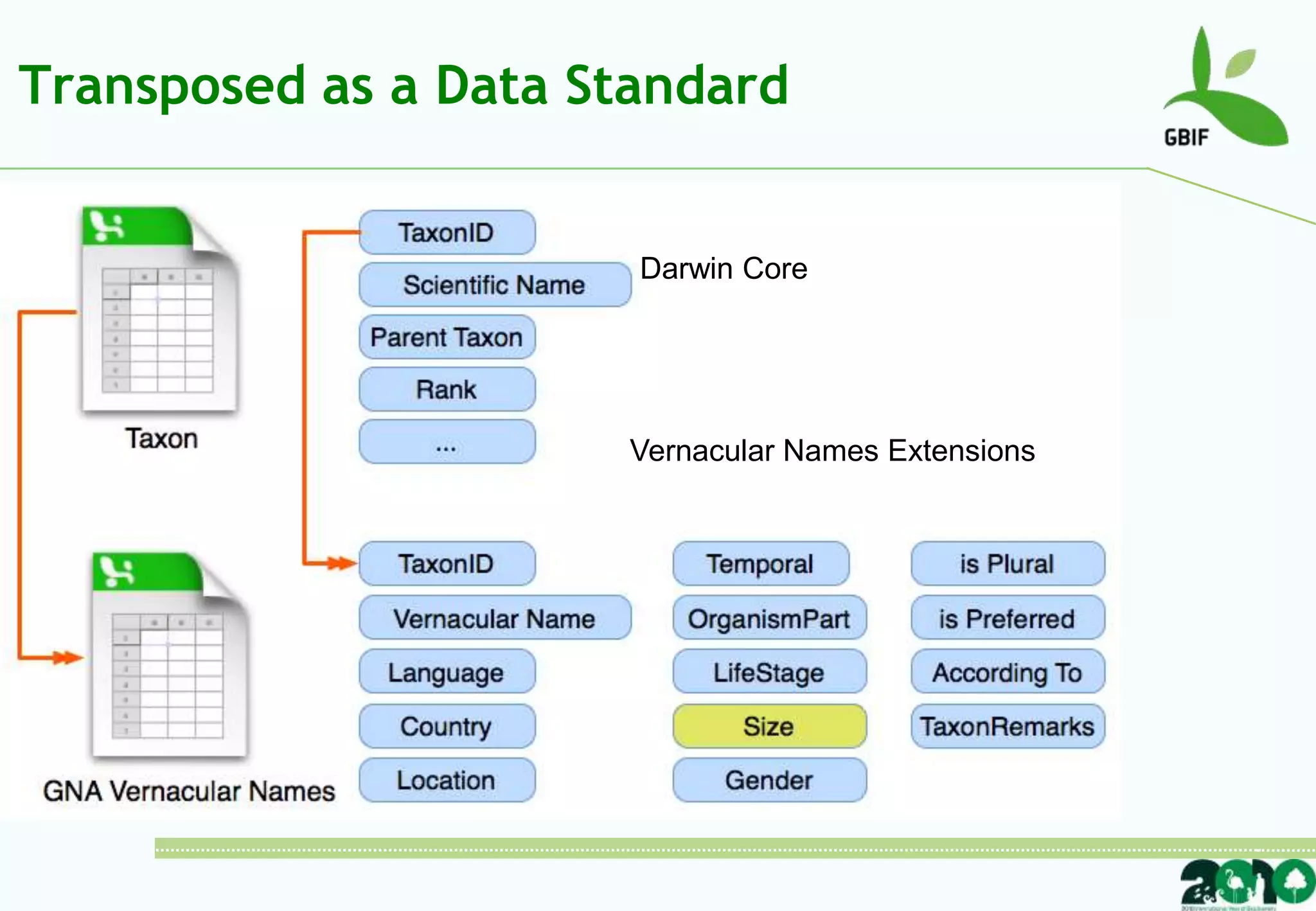 D3 02 Vernacular Names | PPTX