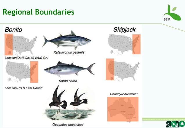 D3 02 Vernacular Names | PPT