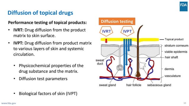 Diffusion Cell Apparatus slides | PDF | Skin and Dermatology | Diseases and Conditions