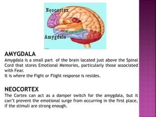 Emotional Intellegence | PDF