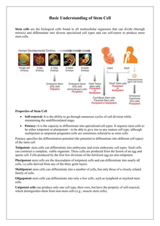 stem_cell_tutorial | PDF