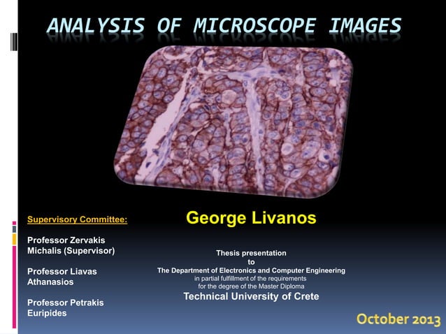 Analysis of microscope images_FINAL PRESENTATION | PPTX | Cancer ...