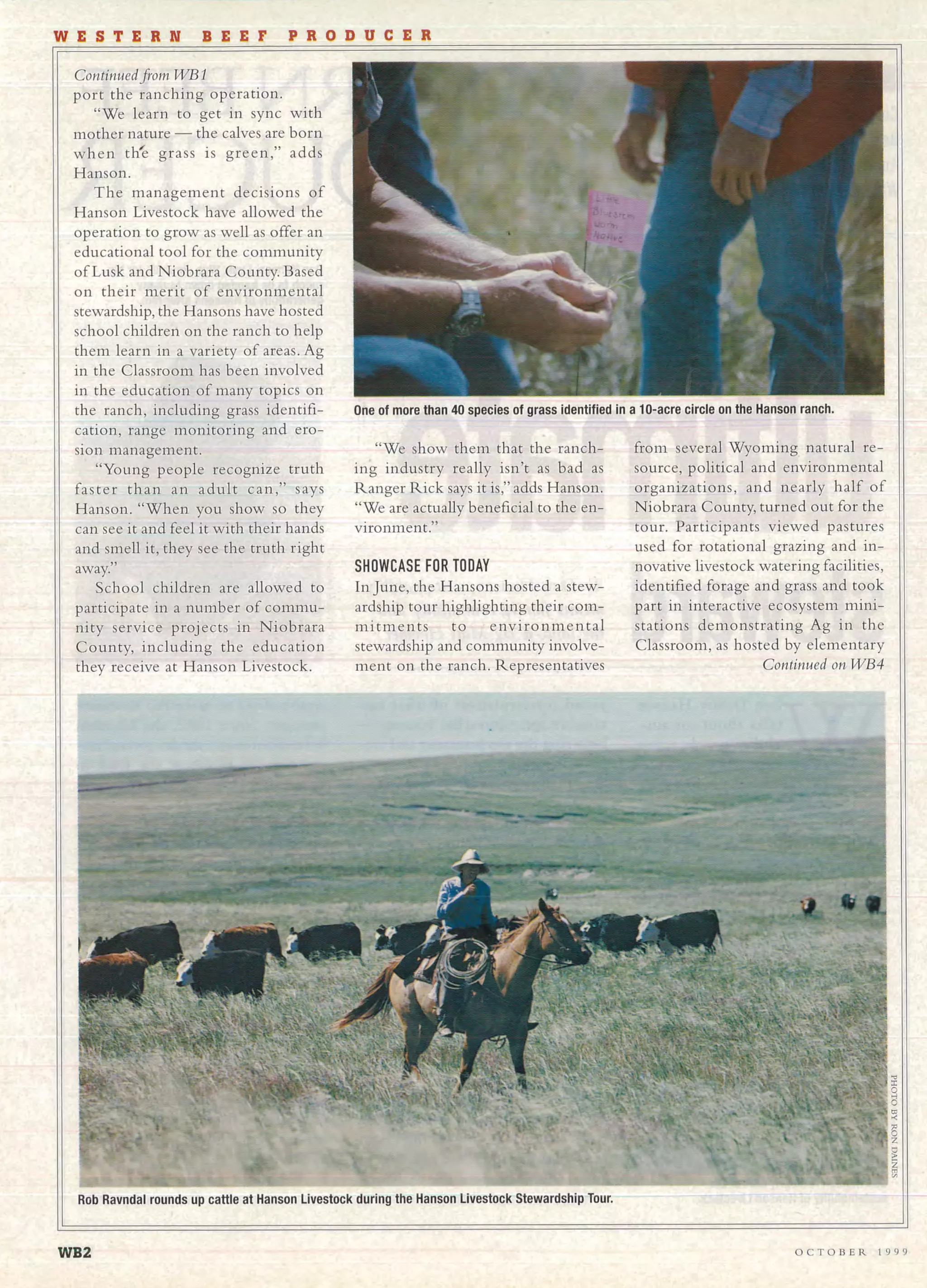 100099_Steward | PDF