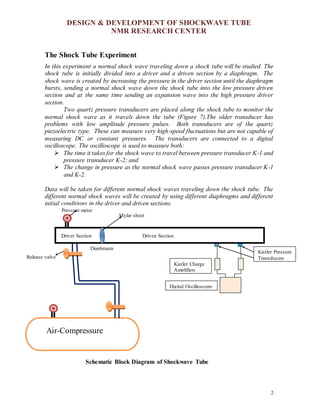 Shock Tube Background | DOCX | Physics | Science