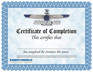 AV101 Certificate Dynamic | PDF