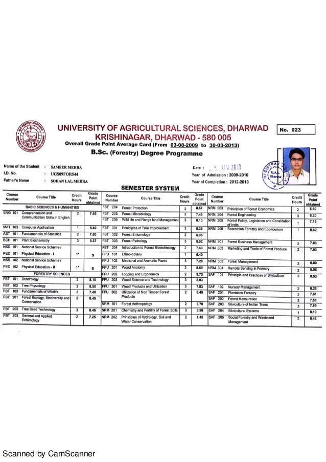 BSc certificate and transcript