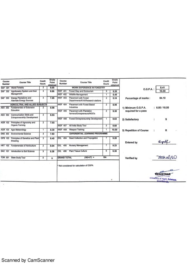 BSc certificate and transcript