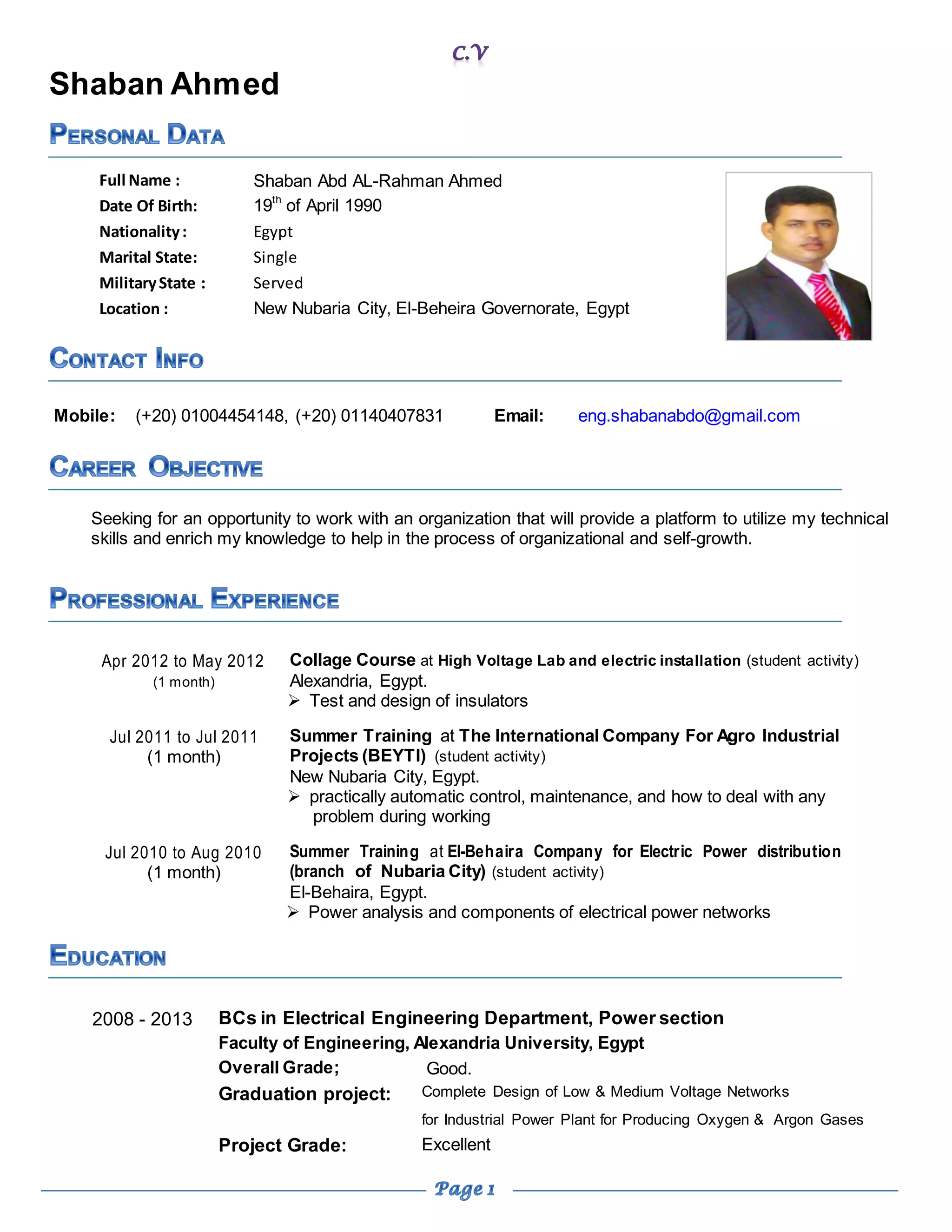 my cv (eng) | PDF | Technology & Computing