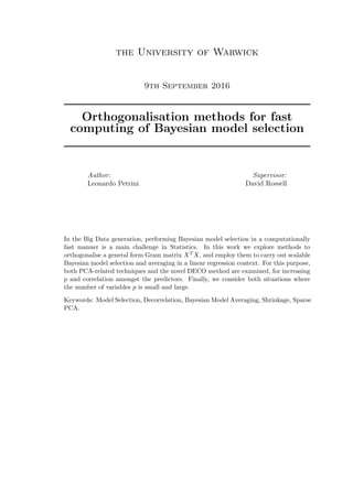 Petrini - MSc Thesis | PDF