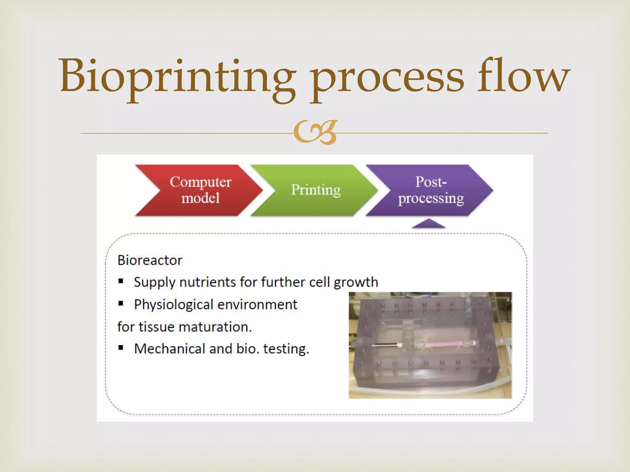 Bio Printing Presentation | PPTX