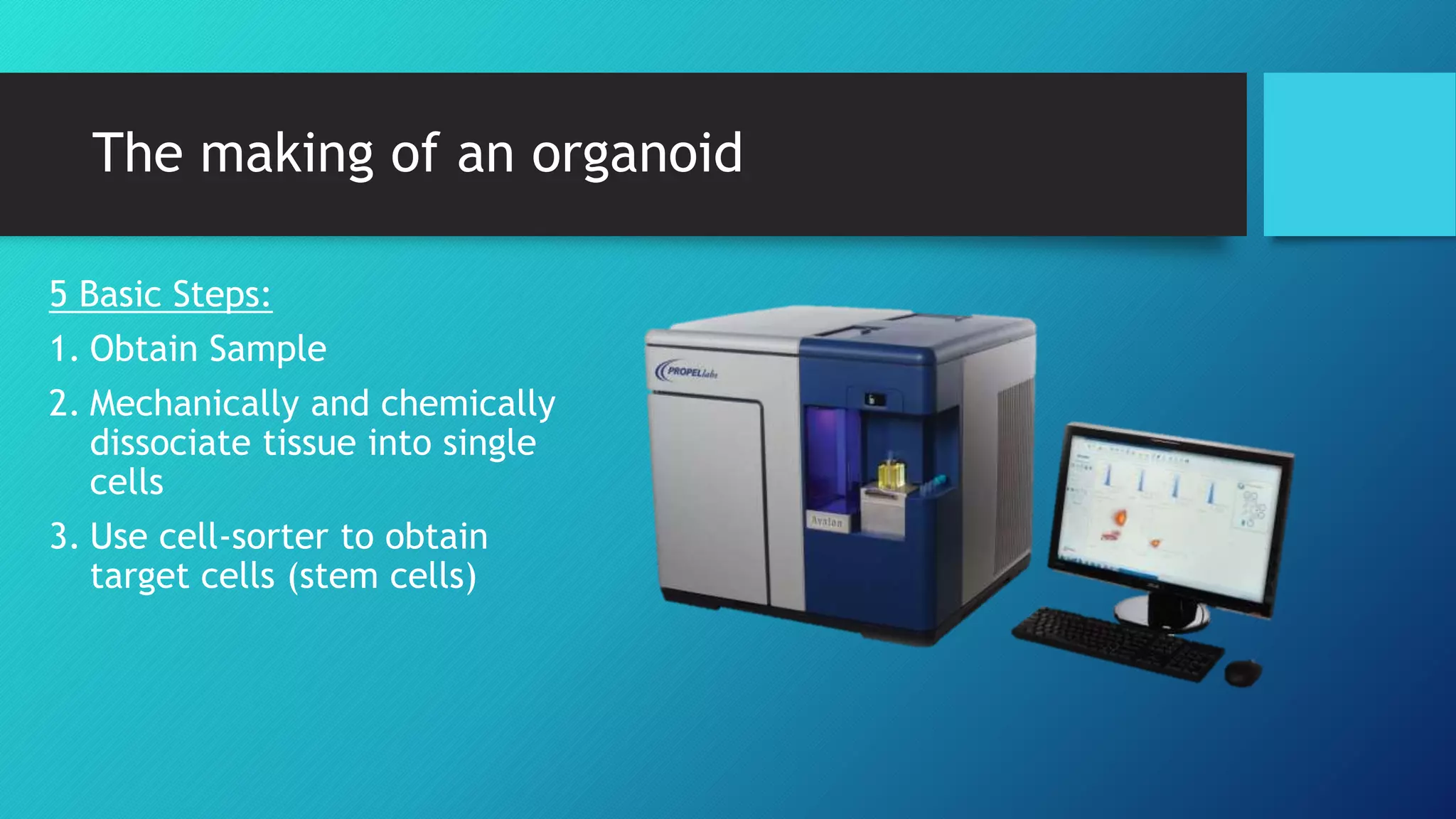 OrganoidPresentation | PPTX