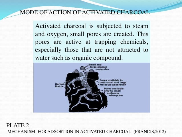 USES AND MODE OF ACTION AC