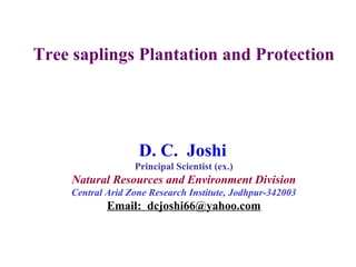 Tree sapling plantation and protection | PPT