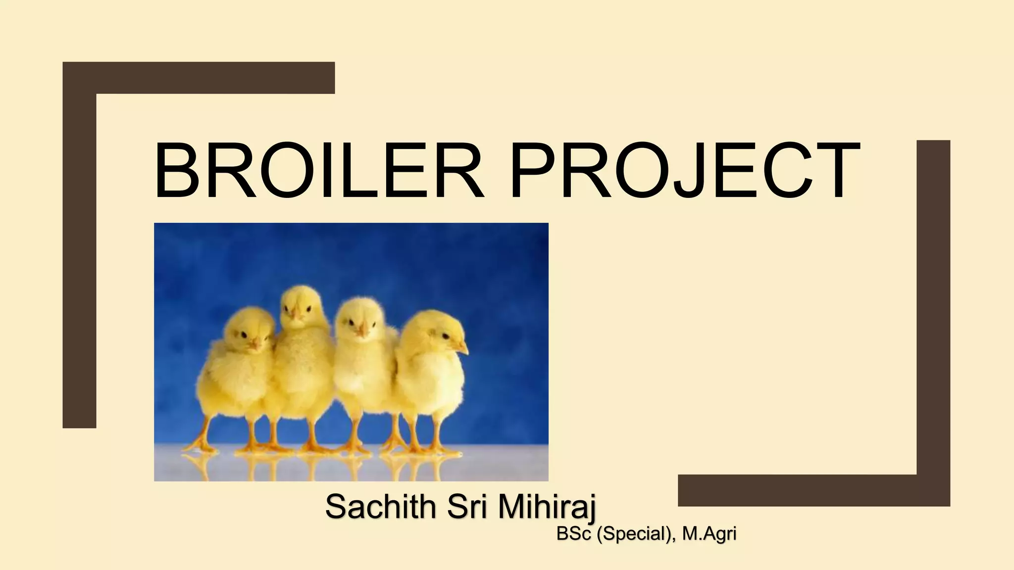 Cost analysis of broiler farming | PPTX