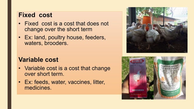 Cost analysis of broiler farming | PPTX | Agriculture | Industries