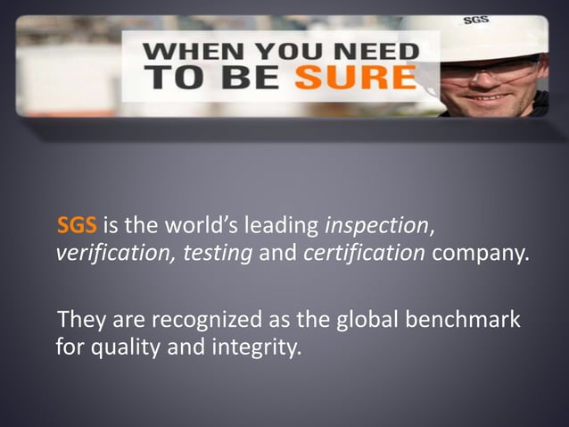 Presentation on sgs | PPTX | Business | Business and Finance